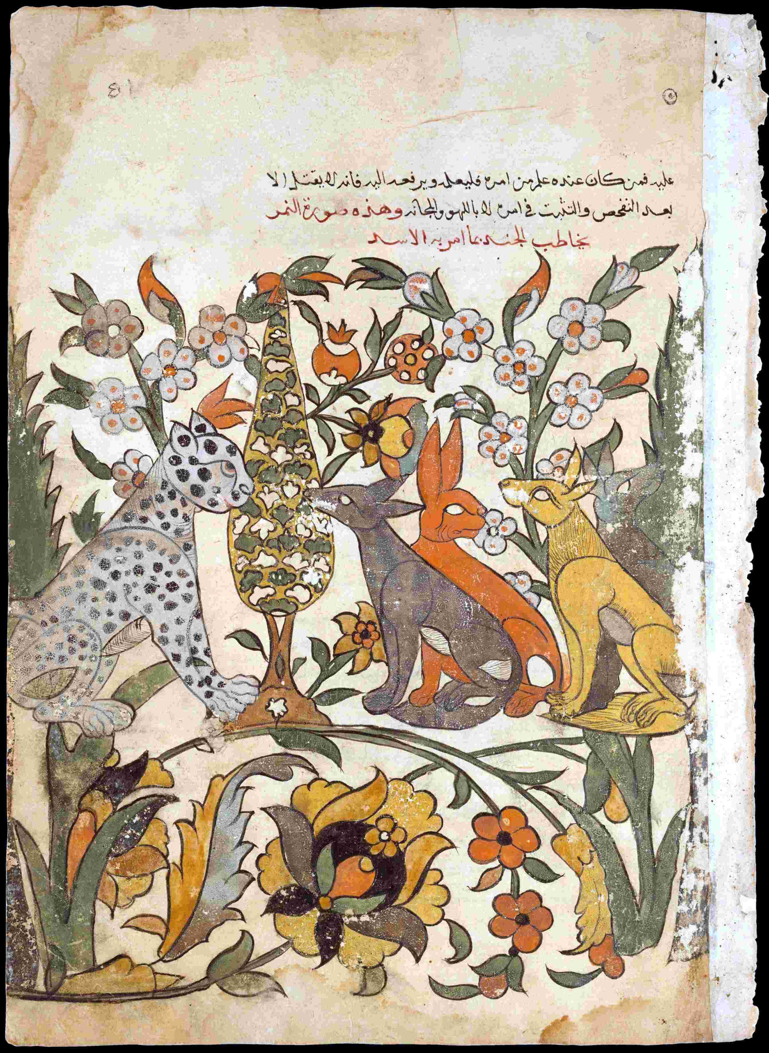 Kalila wa Dimna — Timeless Animal Fables